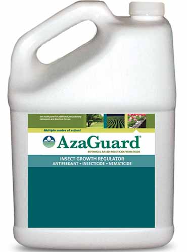 如何识别和控制根象鼻虫|园丁径 - bob综合最新版